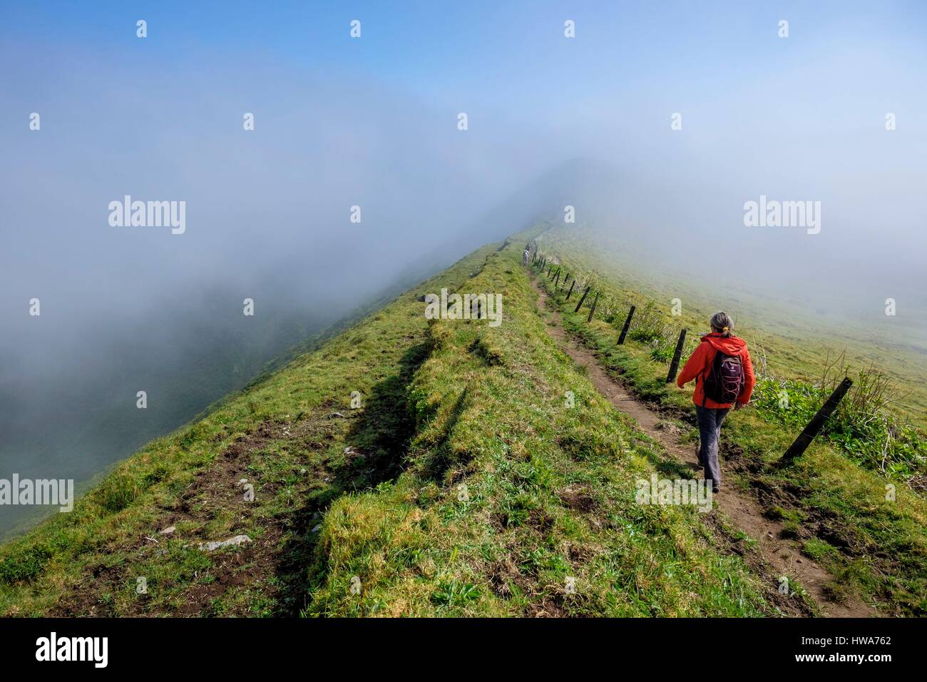 Portugal, Azores archipelago, Faial island, Nature Reserve of Caldeira ...