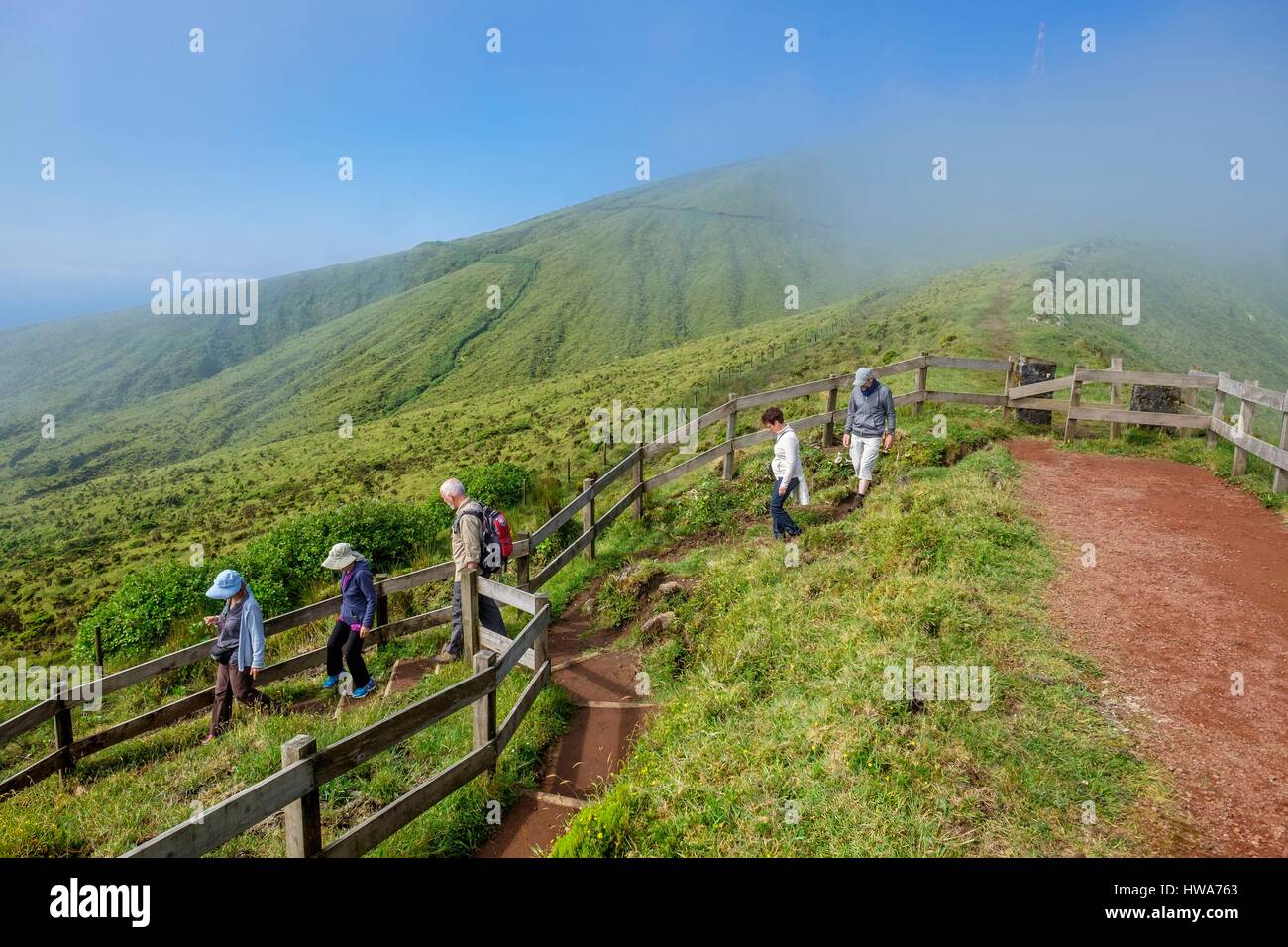 Portugal, Azores archipelago, Faial island, Nature Reserve of Caldeira ...