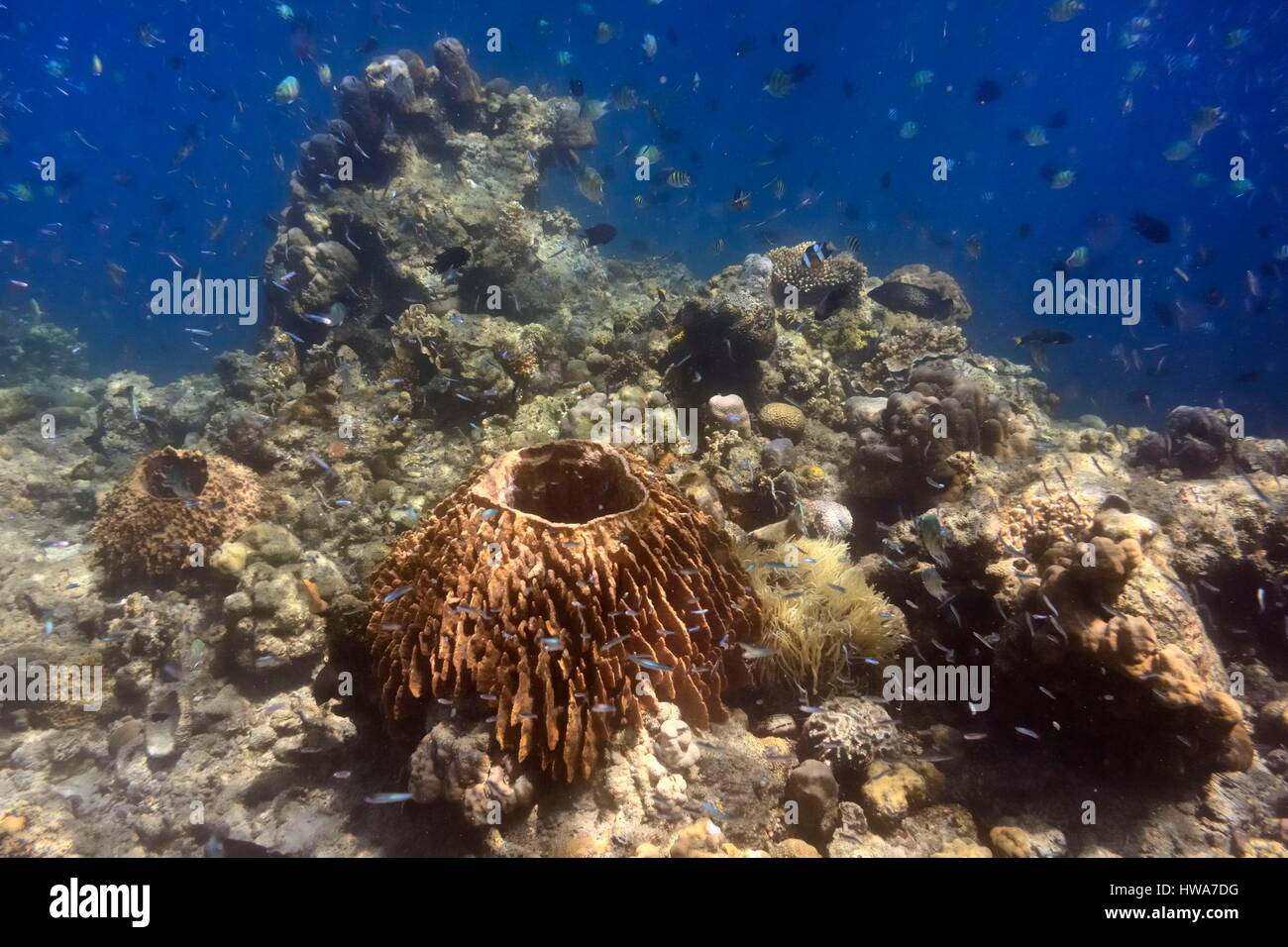 Philippines, Calamian Islands in northern Palawan, Coron Island Natural ...