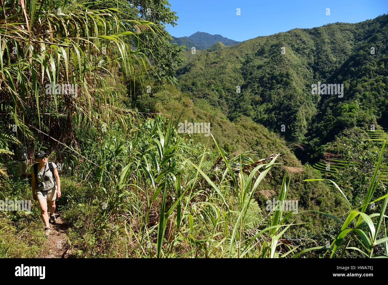 Philippines, Ifugao province, hiking on the trail connecting the ...