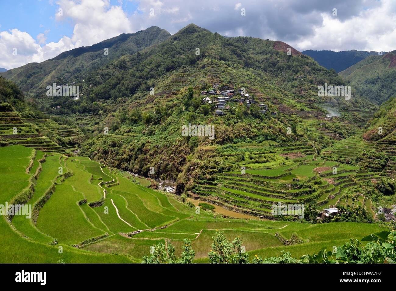 Philippines, Ifugao province, Banaue rice terraces, listed as World ...