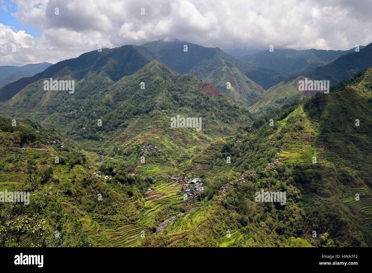 Philippines, Ifugao province, Banaue rice terraces, listed as World ...
