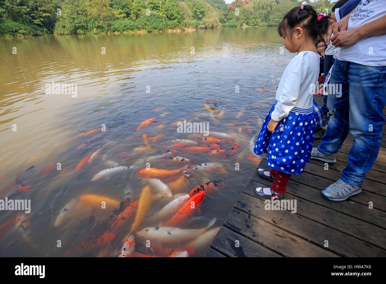 China, Sichuan, Research Base of Giant Panda Breeding or Chengdu Panda ...
