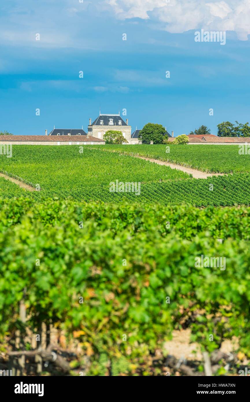 France, Gironde, Saint-Estephe, Chateau le Boscq, vineyard along the ...