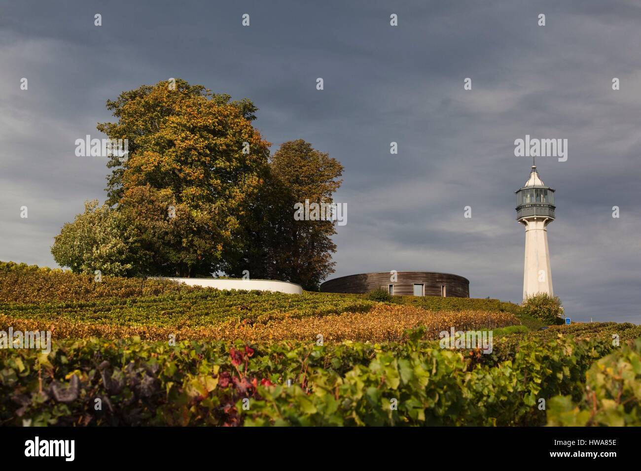 France, Marne, Verzenay, Musee de la Vigne, lighthouse Stock Photo - Alamy