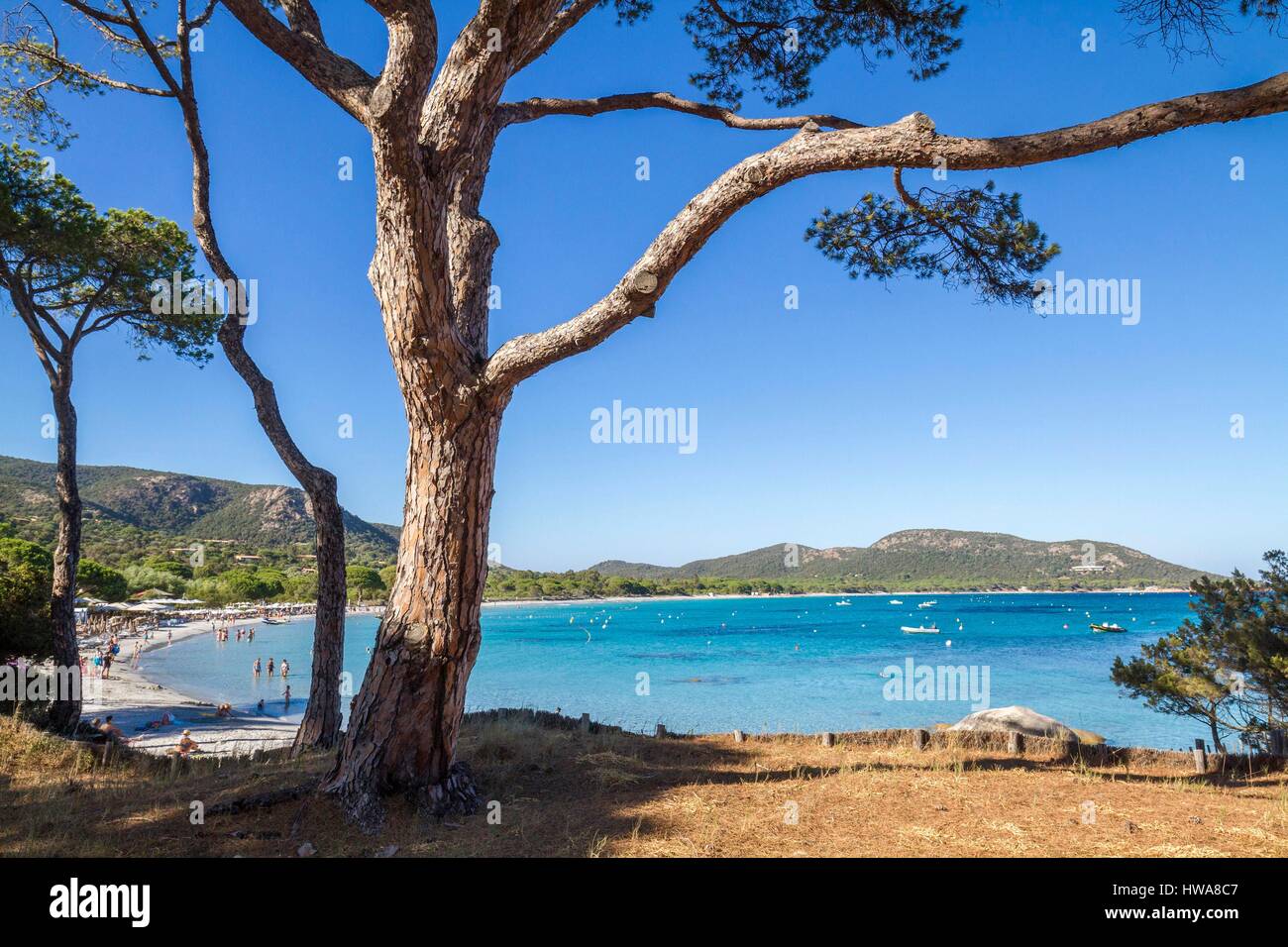 France, Corse du Sud, Porto Vecchio, Palombaggia, beach of Palombaggia ...