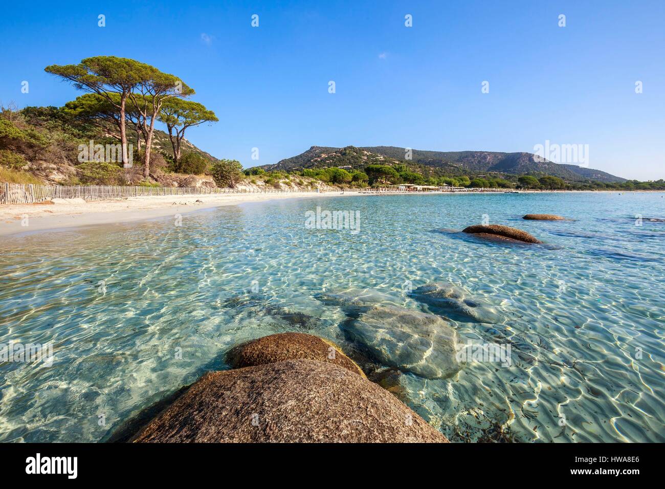 Plage Corse Du Sud Palombaggia