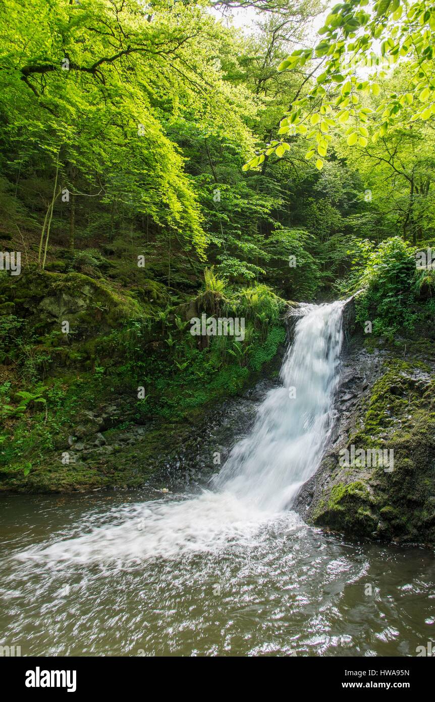 France, Puy de Dome, Besse en Chandesse, cascade of Chiloza, Couze ...
