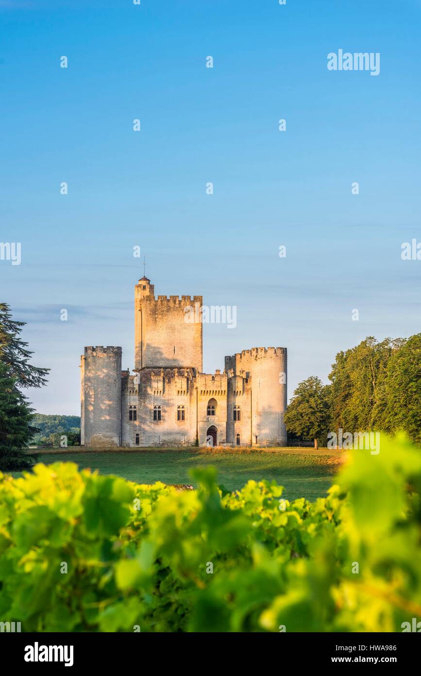 France, Gironde, Mazeres, medieval castle of Roquetaillade Stock Photo ...