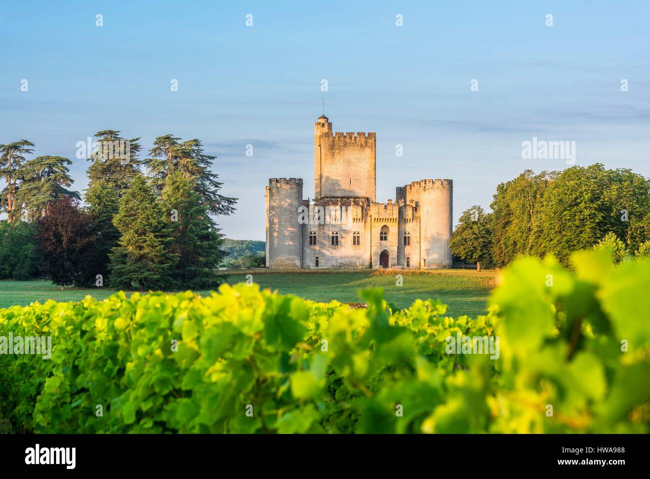 France, Gironde, Mazeres, medieval castle of Roquetaillade Stock Photo ...