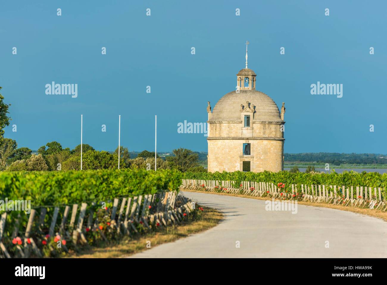 Vineyard tower chateau latour pauillac hi-res stock photography and ...