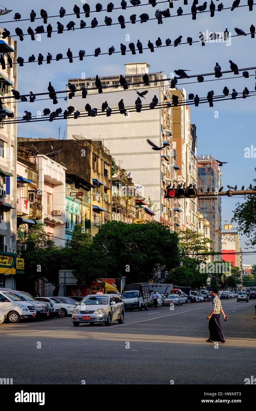 Myanmar, Yangon, old city, Merchant road Stock Photo - Alamy