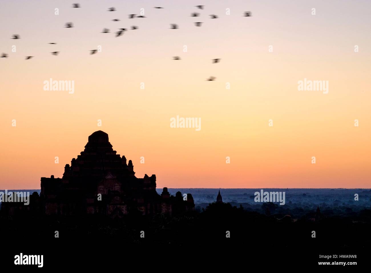 Myanmar, Bagan, temple of Dammayangyi Stock Photo - Alamy