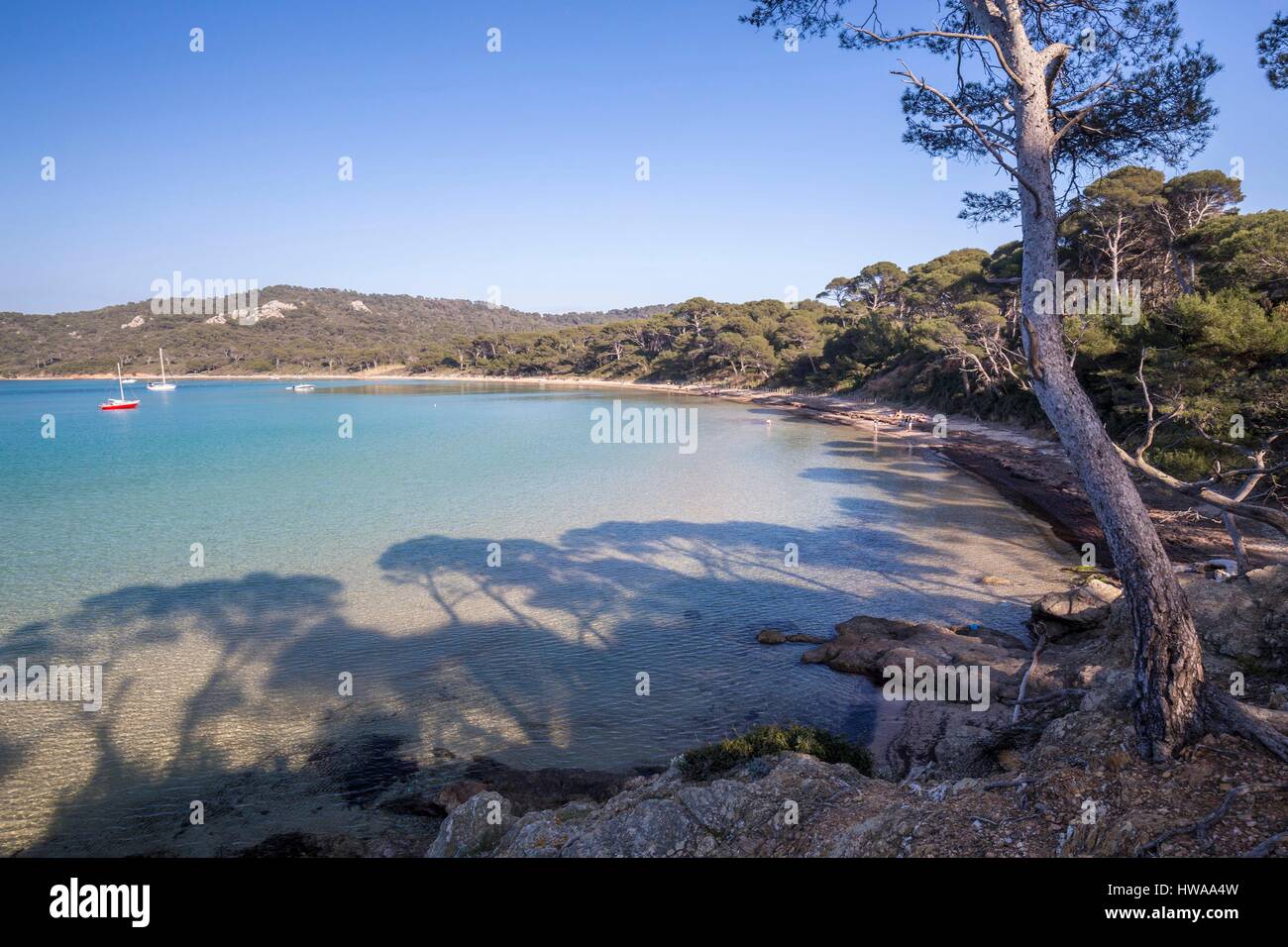 France, Var, Iles d'Hyeres, national park of Port-Cros, Island of ...