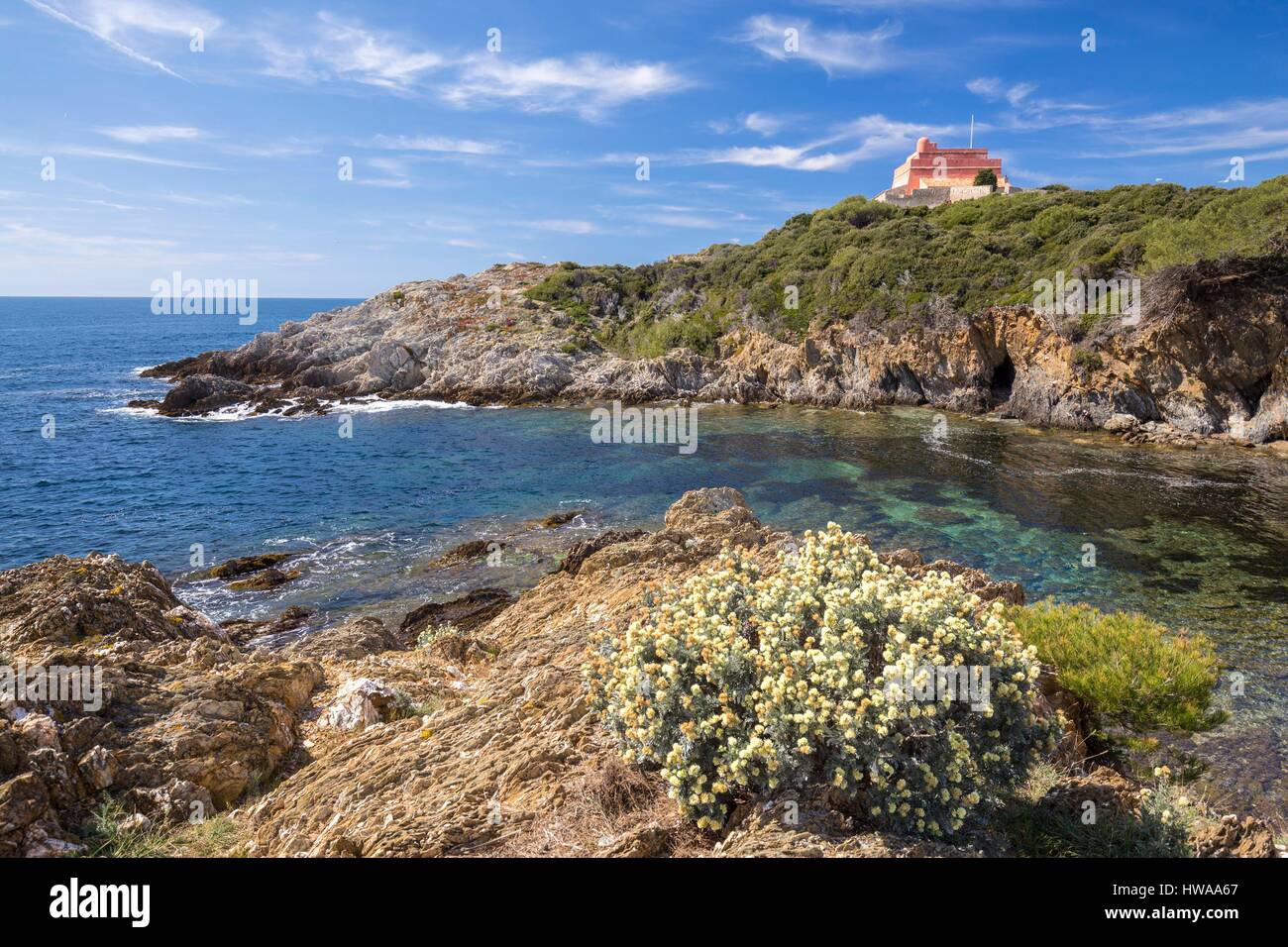France, Var, Iles d'Hyeres, national park of Port-Cros, Island of ...
