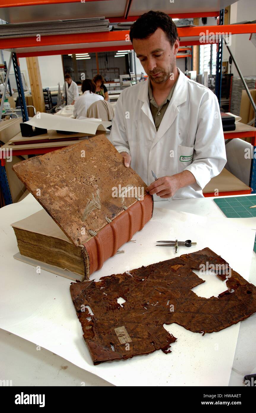 France, Charente Maritime, Ile de Re, loix, Quillet workshop, book ...