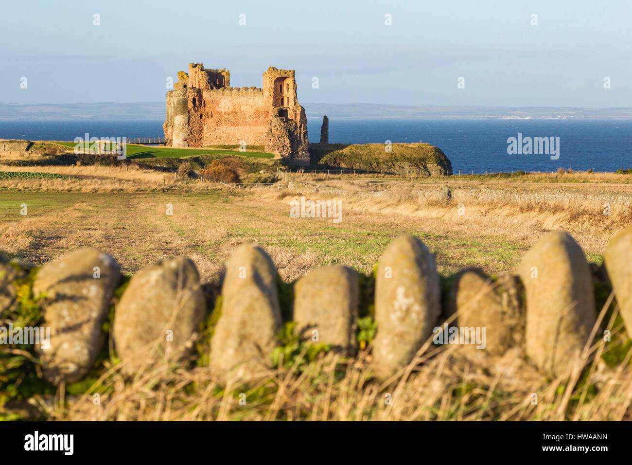 Berwick castle wall hi-res stock photography and images - Alamy