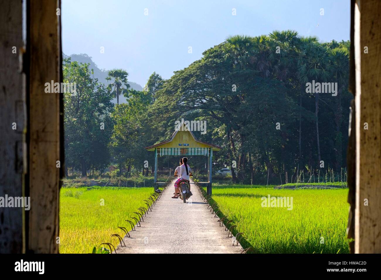 Myanmar, Burma, Karen or Kayin state, Hpa An, Lat Ka Na village and ...