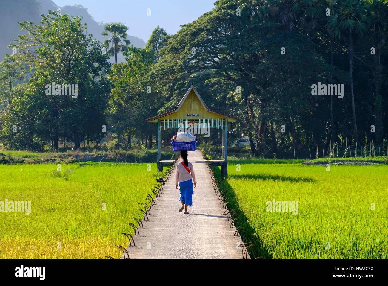 Myanmar, Burma, Karen or Kayin state, Hpa An, Lat Ka Na village and ...