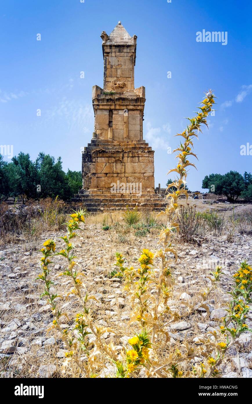 Tunisia, Northwest region, Roman ruins of Dougga or Thugga ...