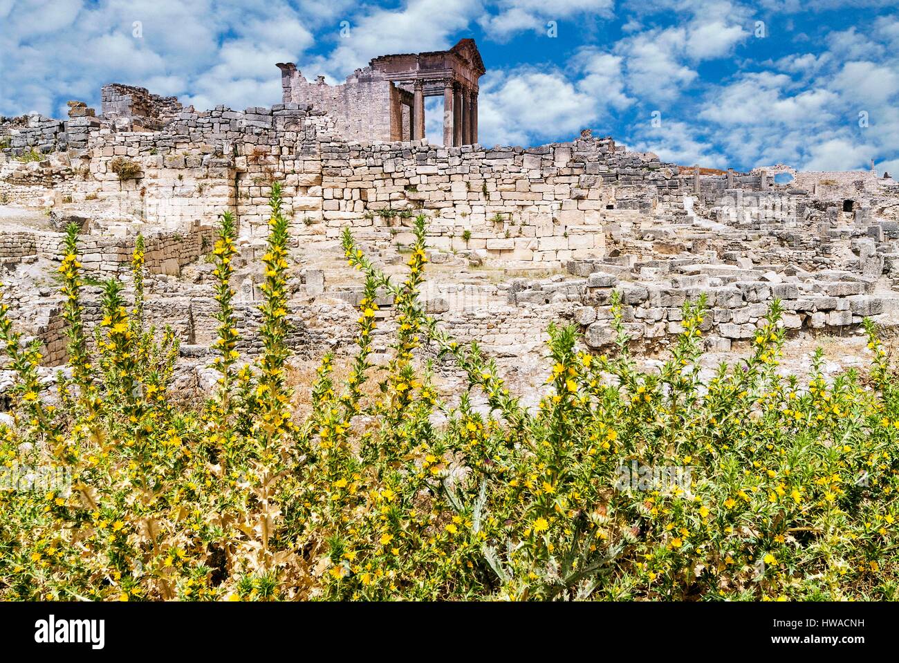 Tunisia, Northwest region, Roman ruins of Dougga or Thugga ...
