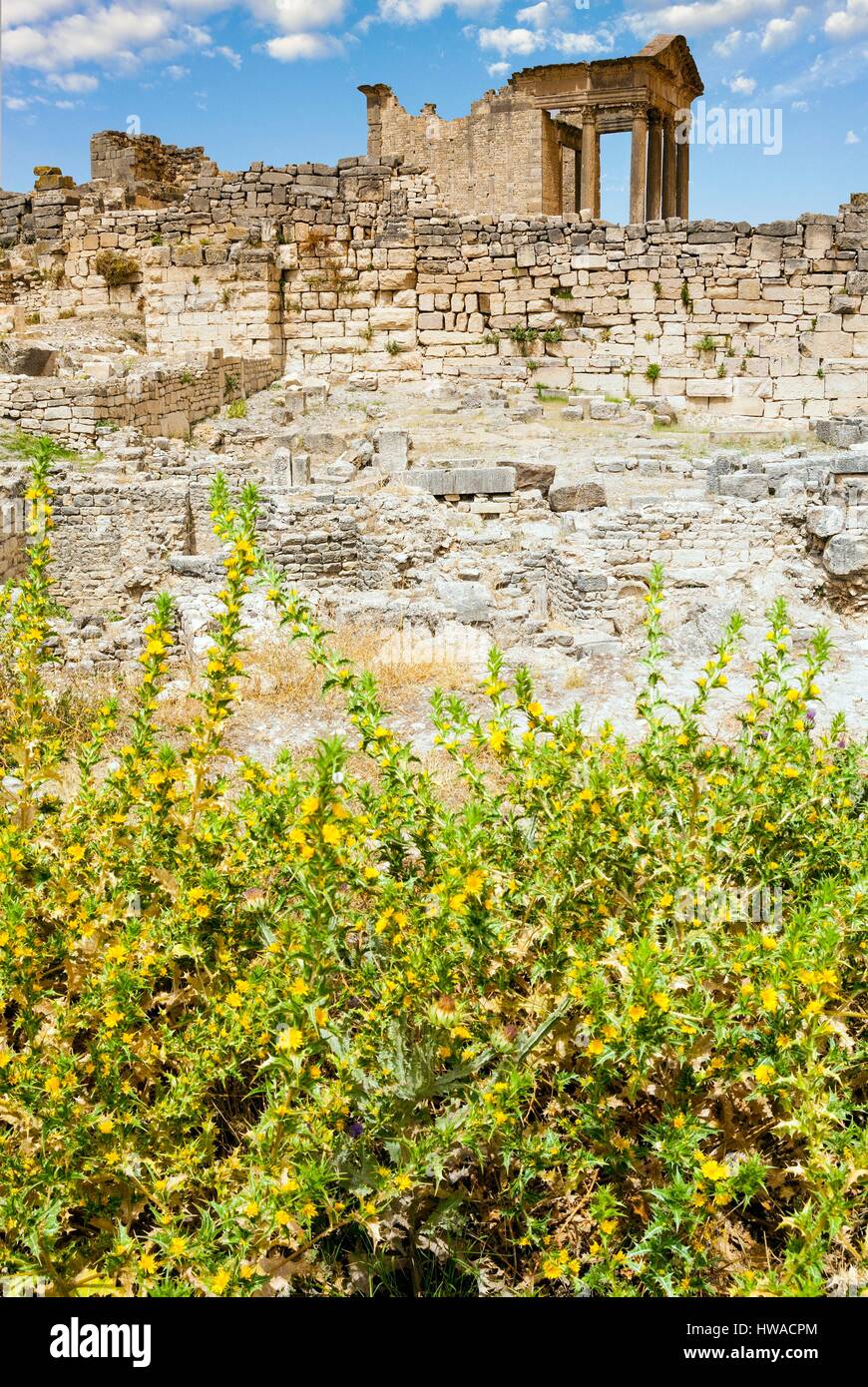 Capitol of dougga hi-res stock photography and images - Alamy