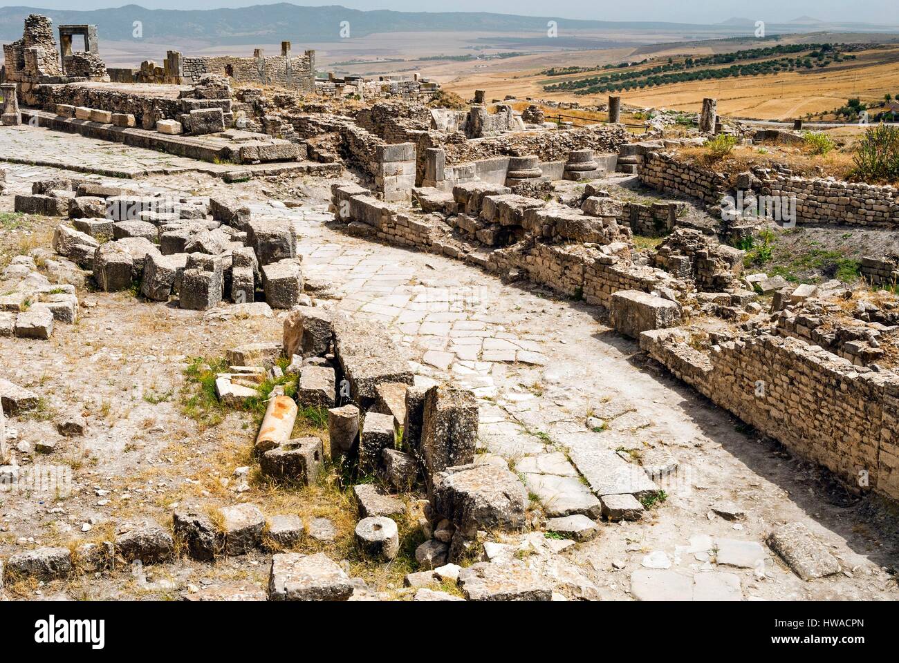 Tunisia, Northwest region, Roman ruins of Dougga or Thugga ...