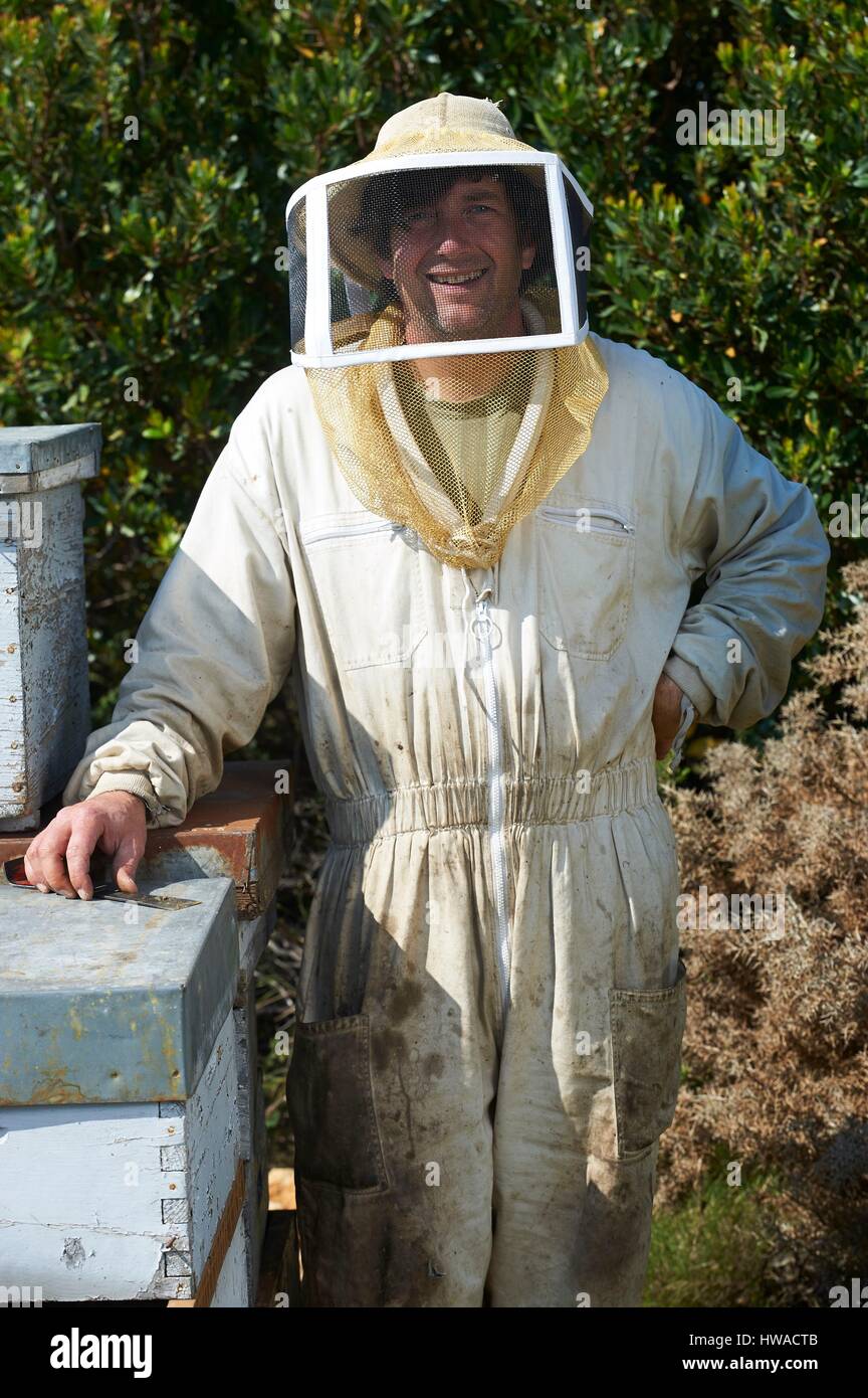France, Var, Le Castellet, Beekeepers, miellerie de l'oratoire Stock ...