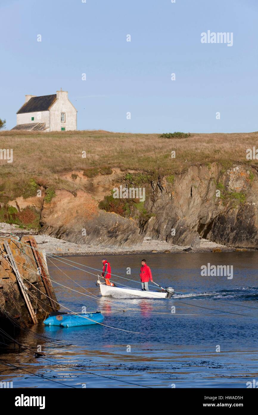 Ile d ouessant hi-res stock photography and images - Alamy