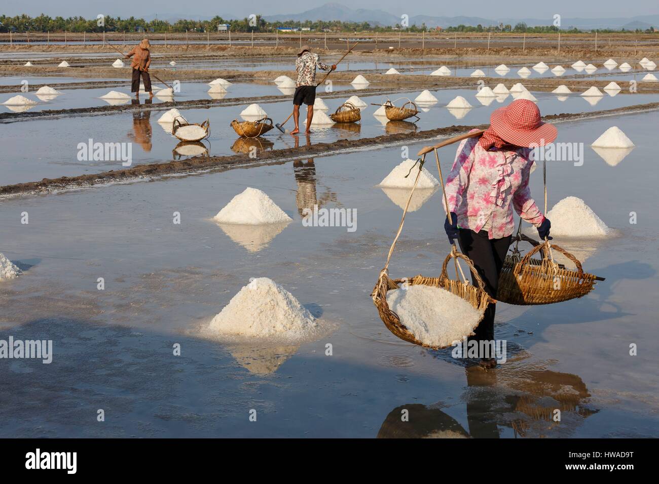 Cambodia, Kampot province, Kampot, salt harvest Stock Photo - Alamy