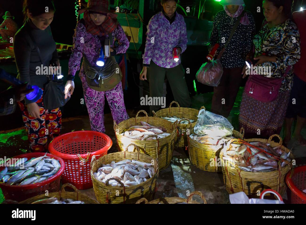 Cambodia, Kampot province, Kampot, fishing market by night Stock Photo ...