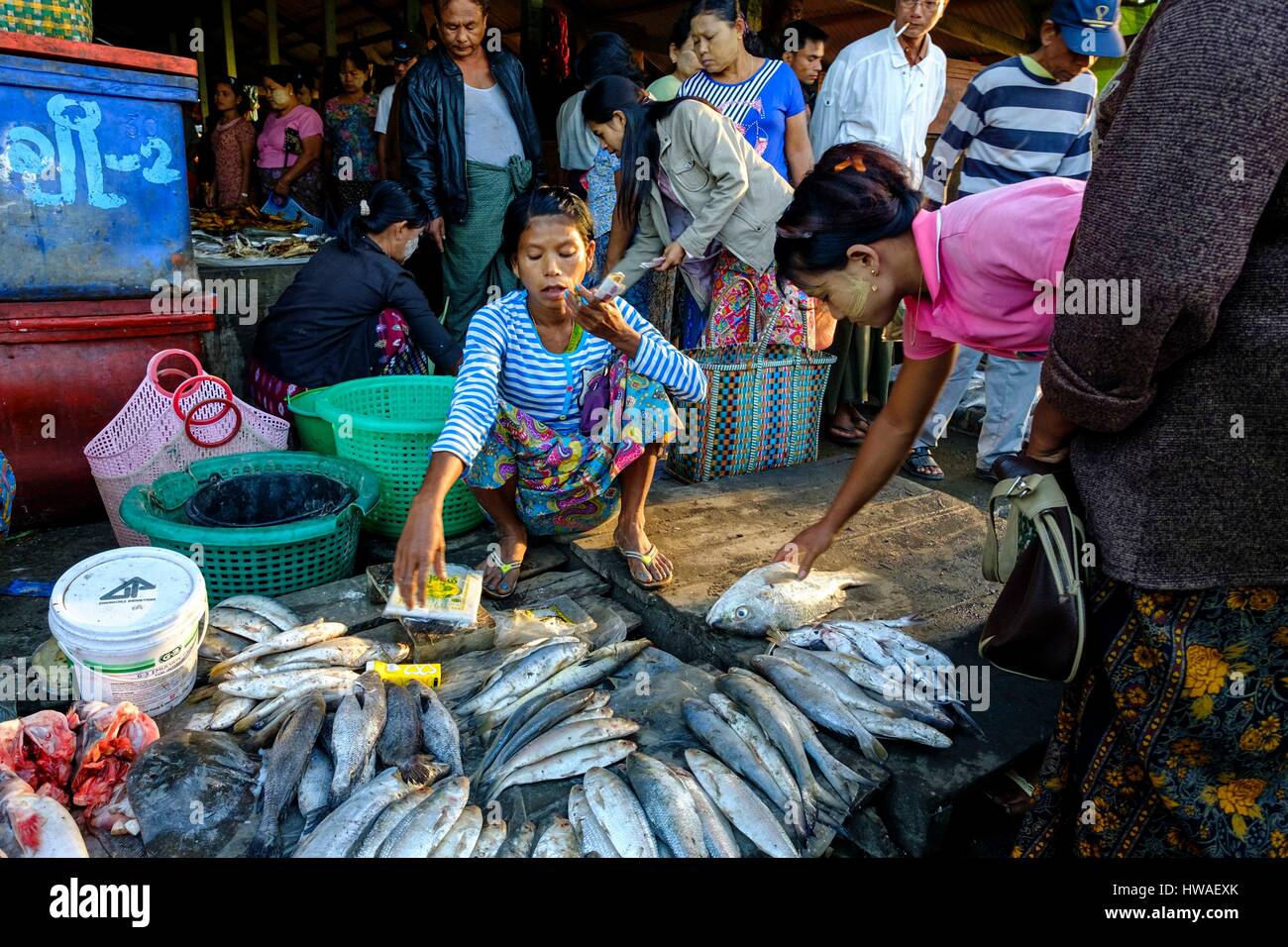 Myanmar, Burma, Sittwe, the fish market Stock Photo - Alamy
