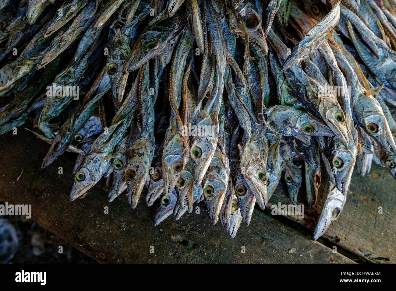 Myanmar, Burma, Sittwe, the fish market Stock Photo - Alamy