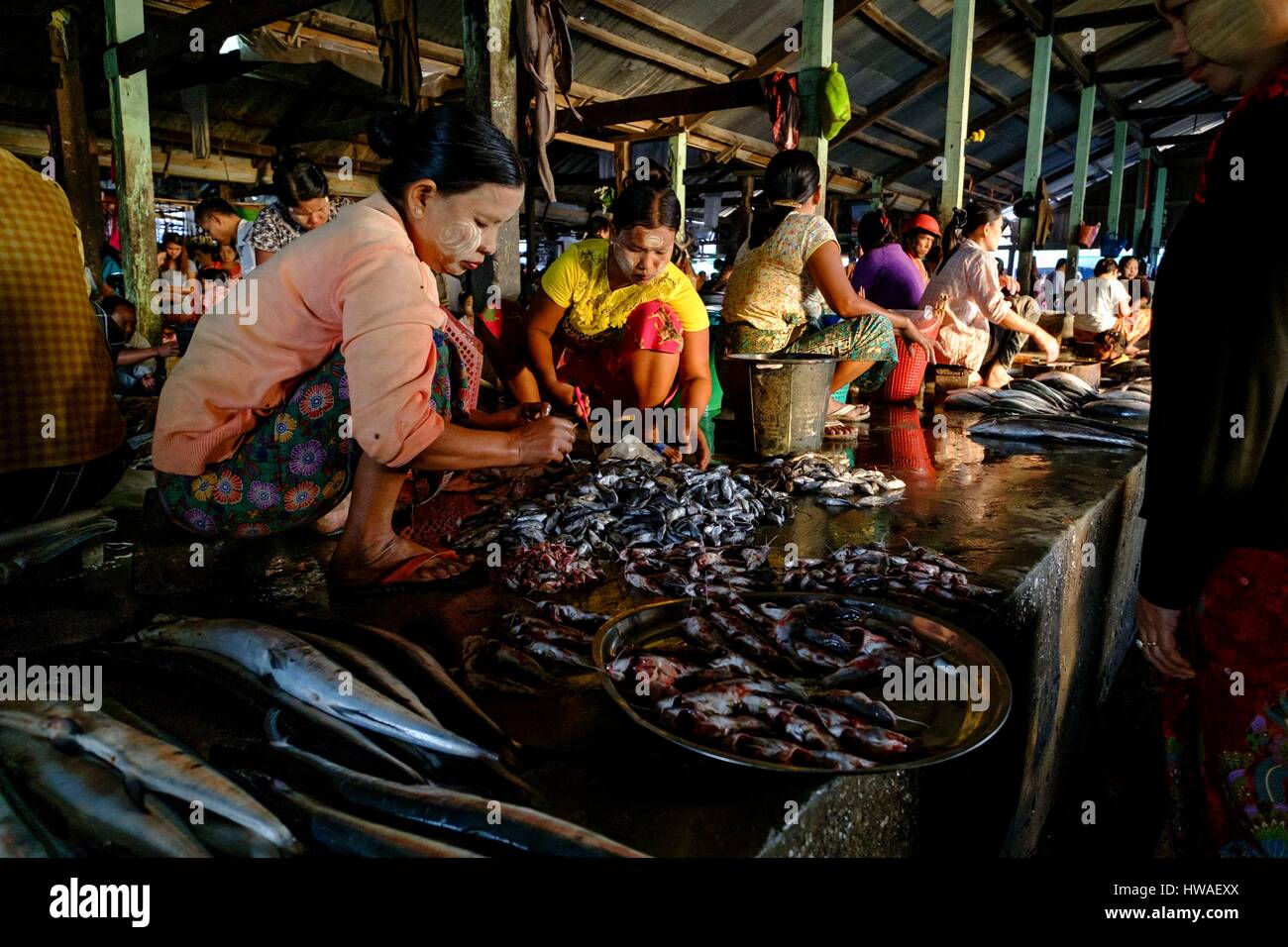 Myanmar, Burma, Sittwe, the fish market Stock Photo - Alamy