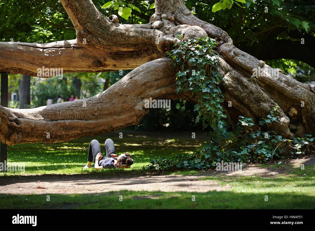 France, Paris, Luxembourg Garden, a remarkable woman lying under tree ...