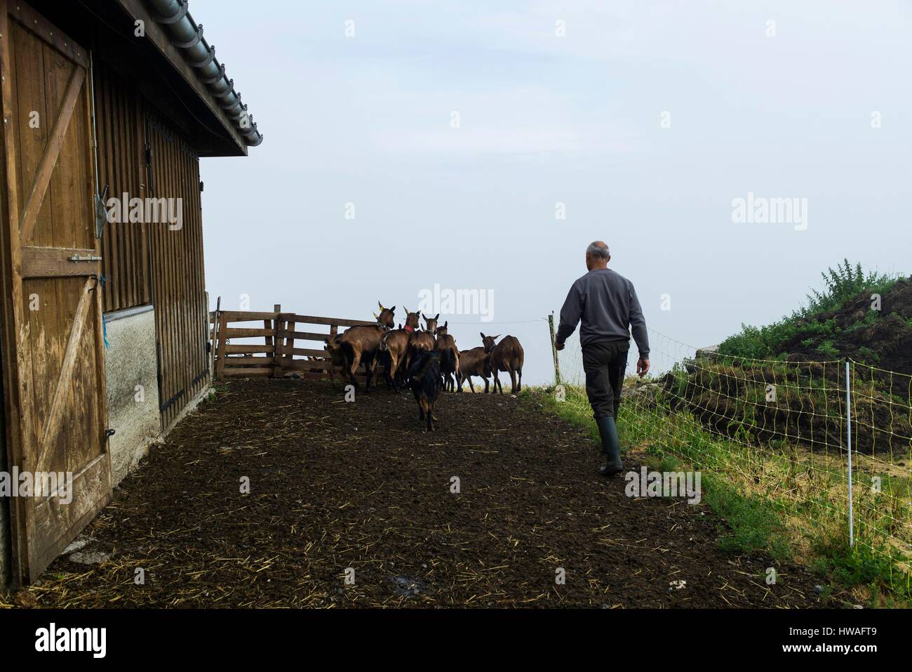 France, Haute Savoie, Viuz la Chiesaz, Bauges mountains, Semnoz ...
