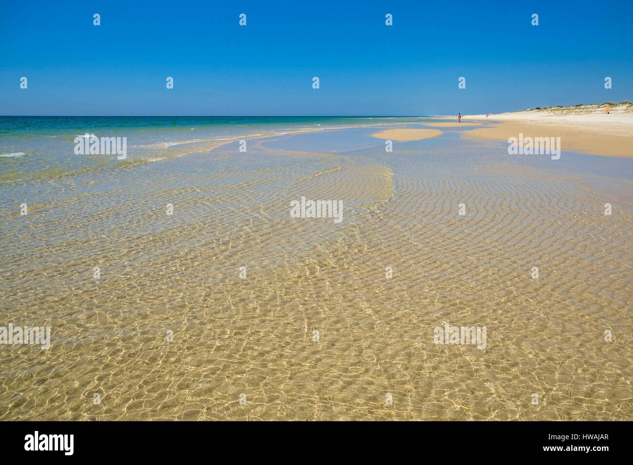 Portugal, Algarve region, Tavira, Ria Formosa Natural Park, Barril ...