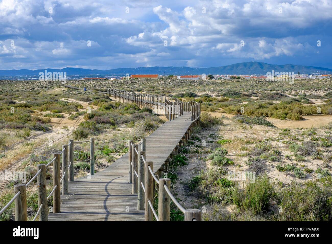 Portugal, Algarve region, Olhao, Ria Formosa Natural Park, Culatra ...