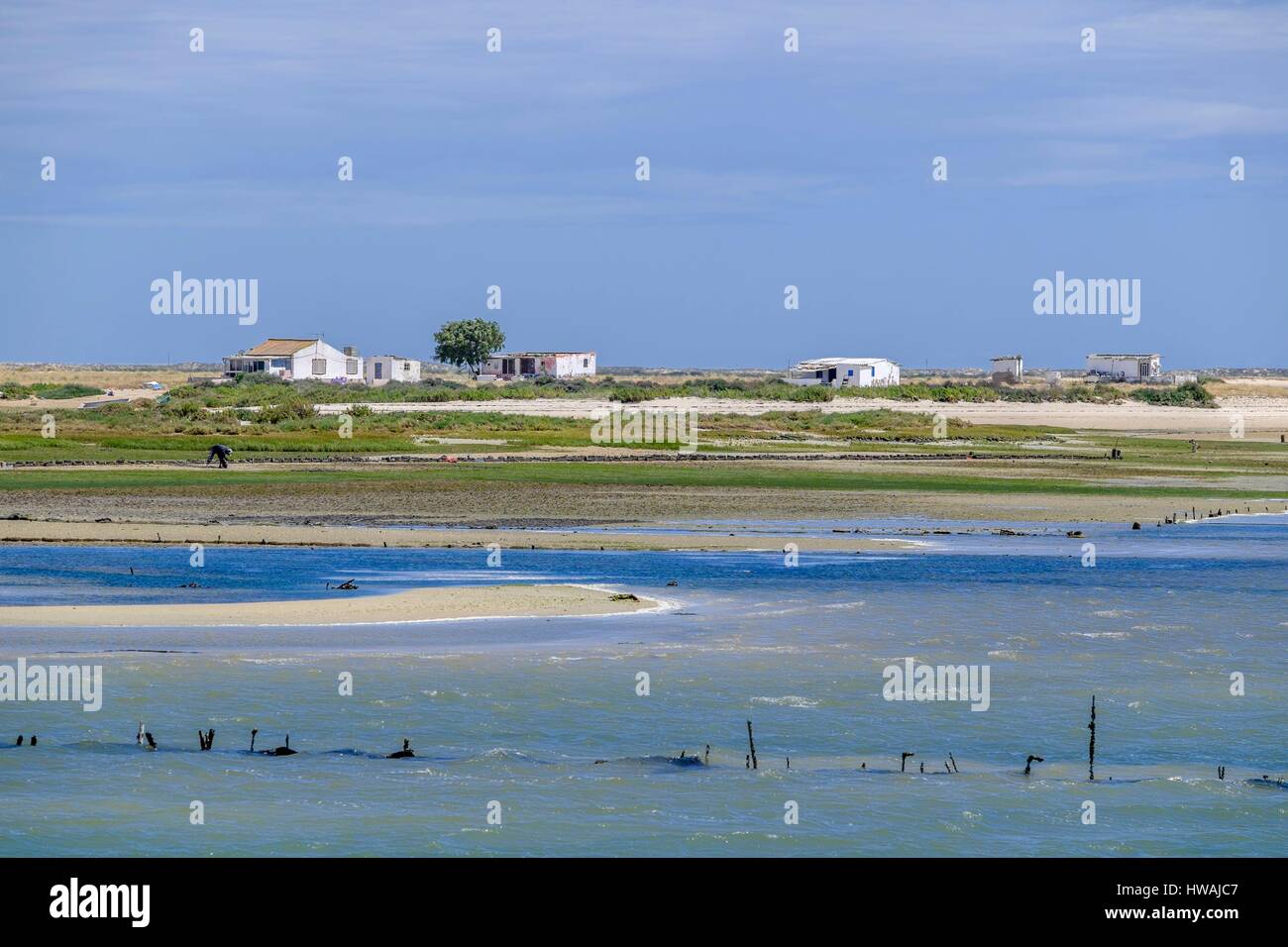 Portugal, Algarve region, Olhao, Ria Formosa Natural Park Stock Photo ...