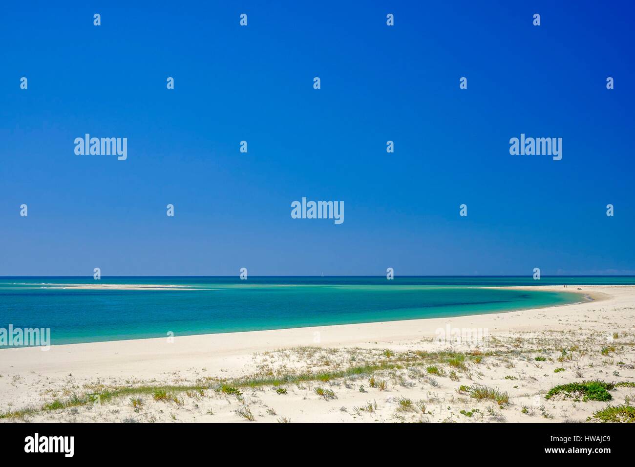 Island of armona beach hi-res stock photography and images - Alamy