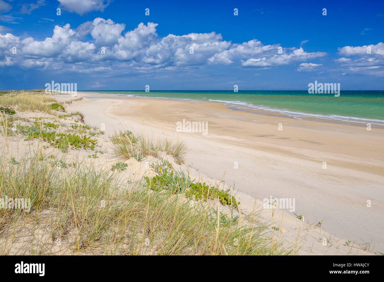 Culatra island hi-res stock photography and images - Alamy