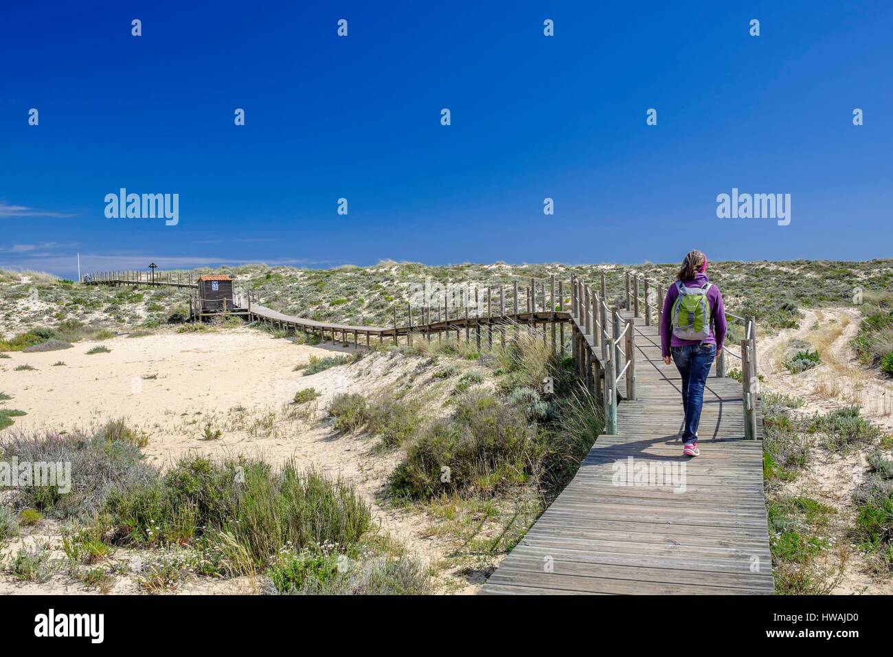 Portugal, Algarve region, Olhao, Ria Formosa Natural Park, Culatra ...