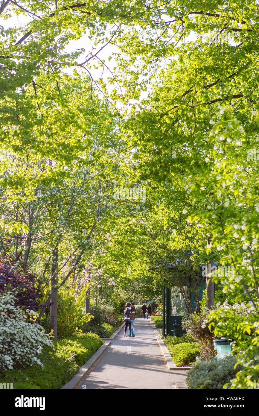Promenade plantee paris hi-res stock photography and images - Alamy