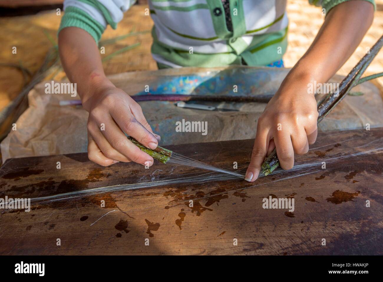 Myanmar, Shan State, Inle lake, Sagar village, Lotus fiber weaving ...