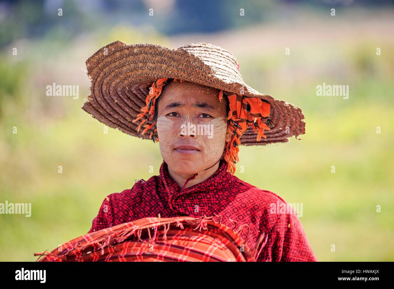 Harvesting rice myanmar hi-res stock photography and images - Alamy