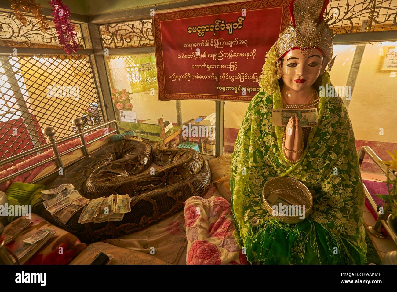 Myanmar, Bago State, Bago, Biggest Burmese Python at Bago Monastery ...