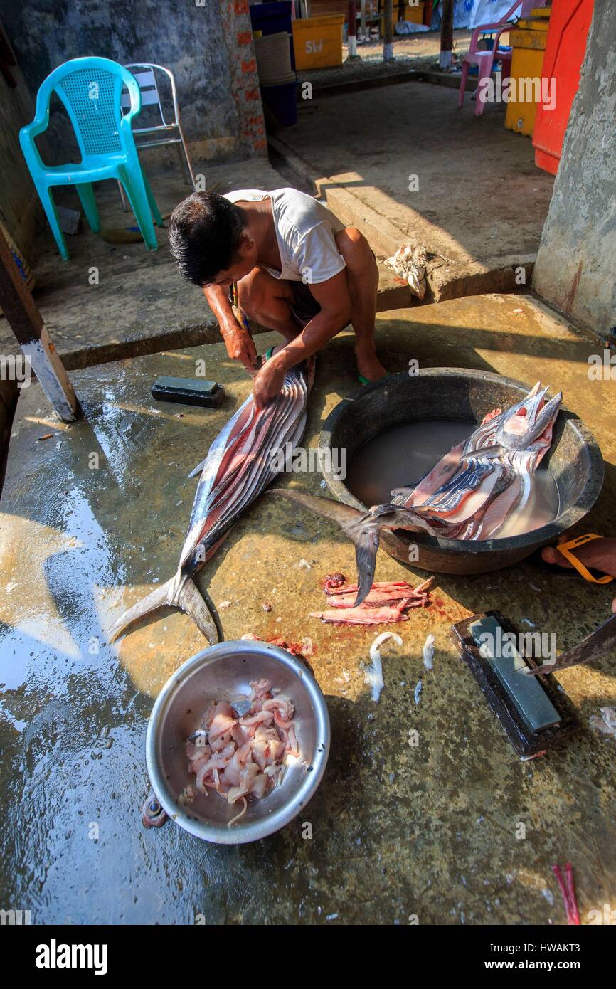 Myanmar, Rakhine State, Sittwe, preparation for drying fish Stock Photo ...
