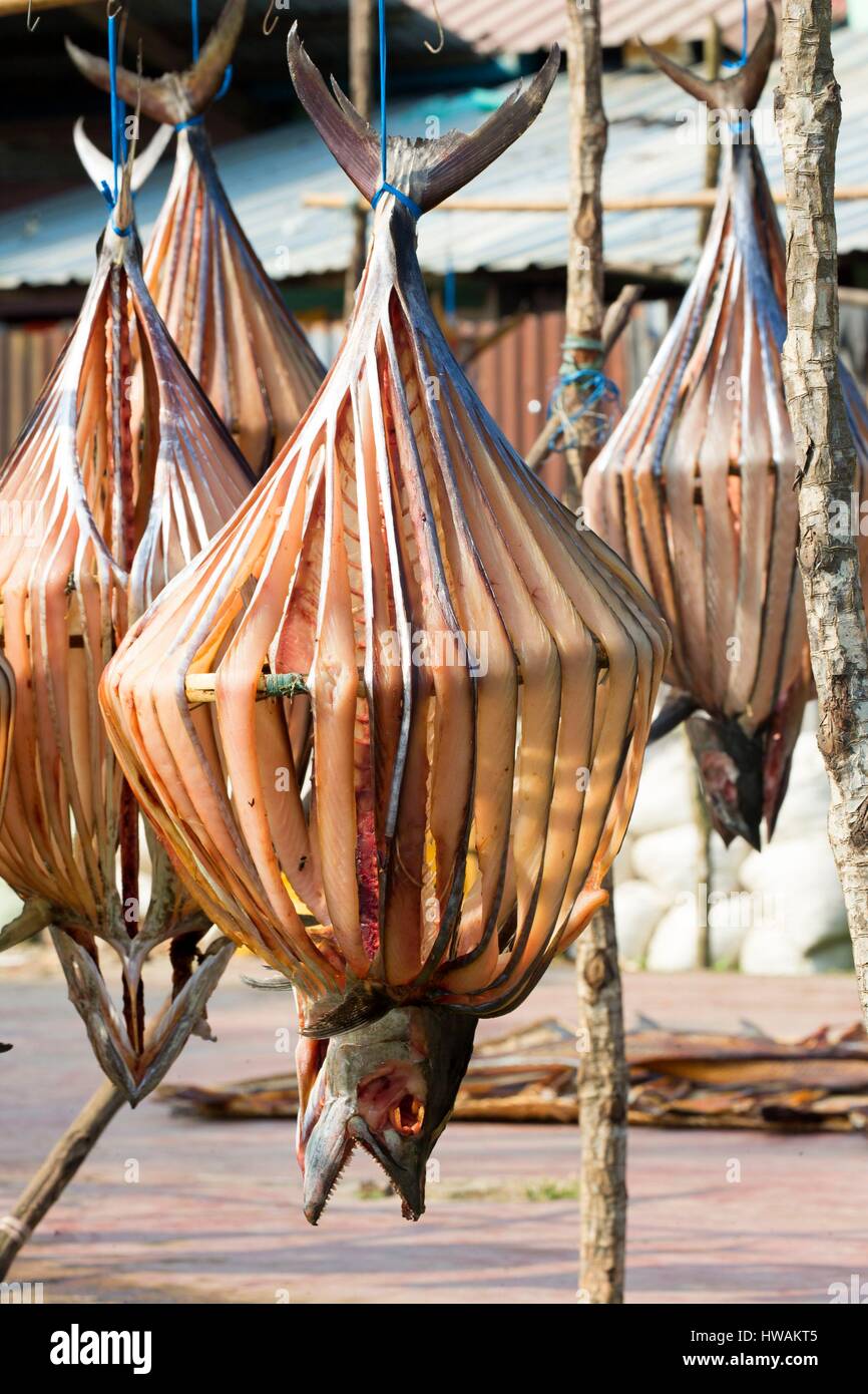 Myanmar, Rakhine State, Sittwe, preparation for drying fish Stock Photo ...