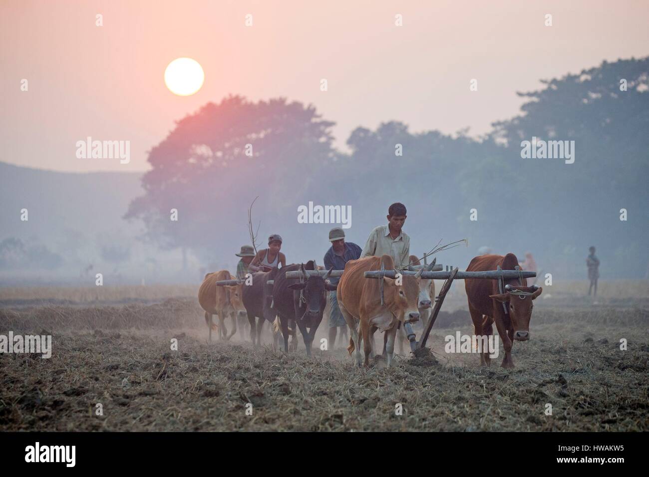Plow the soil hi-res stock photography and images - Alamy