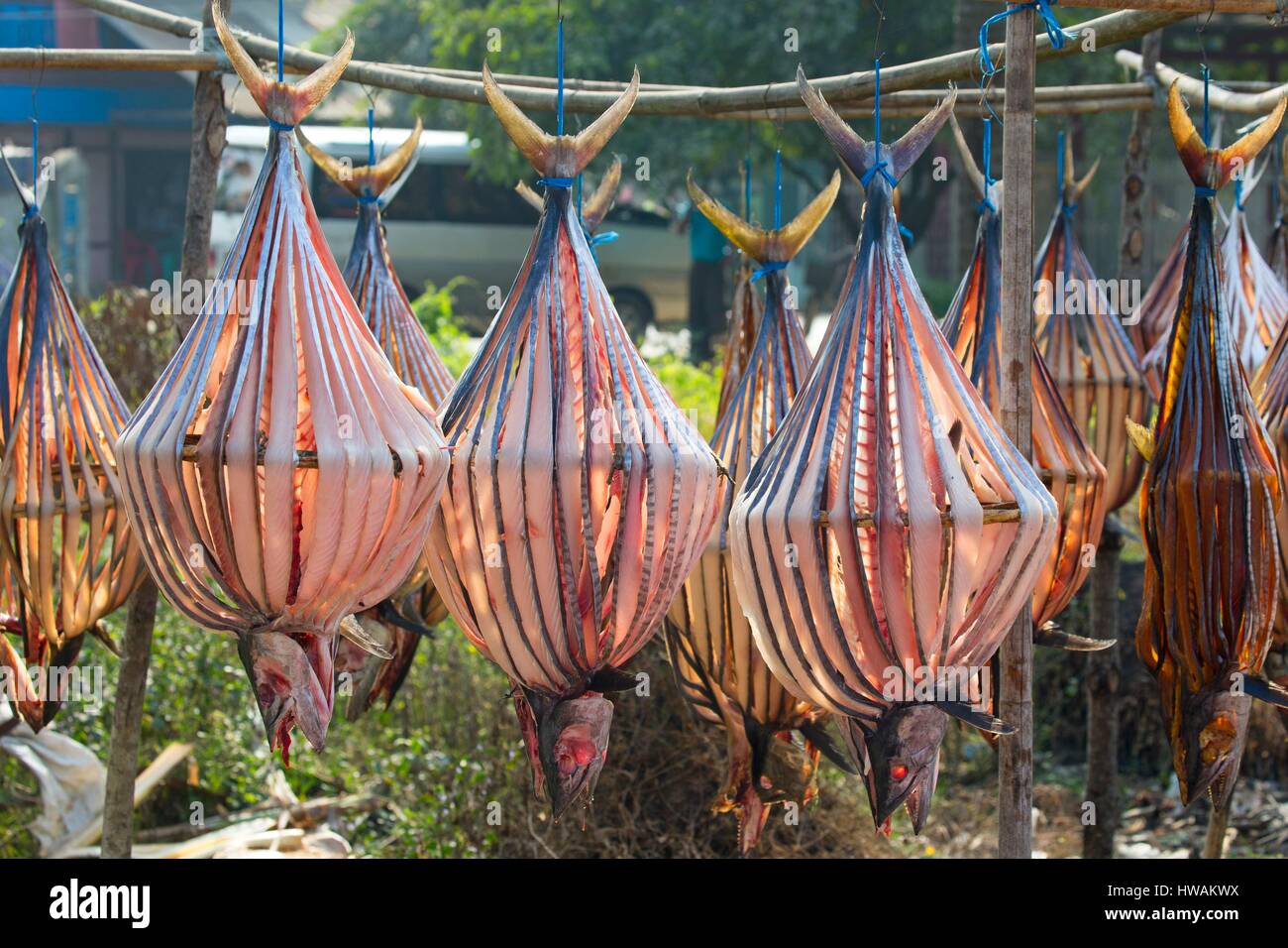 Myanmar, Rakhine State, Sittwe, preparation for drying fish Stock Photo ...